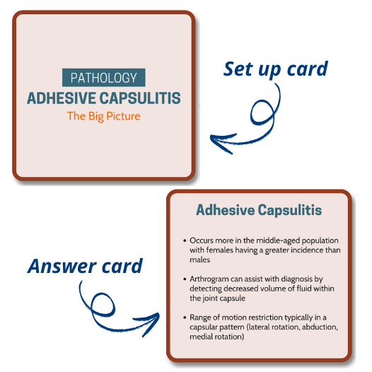 Step Into Basecamp – Scorebuilders